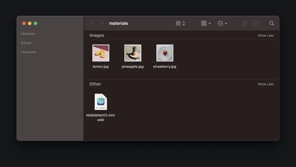 Using An Image Classification Machine Learning Model In An Ios App With