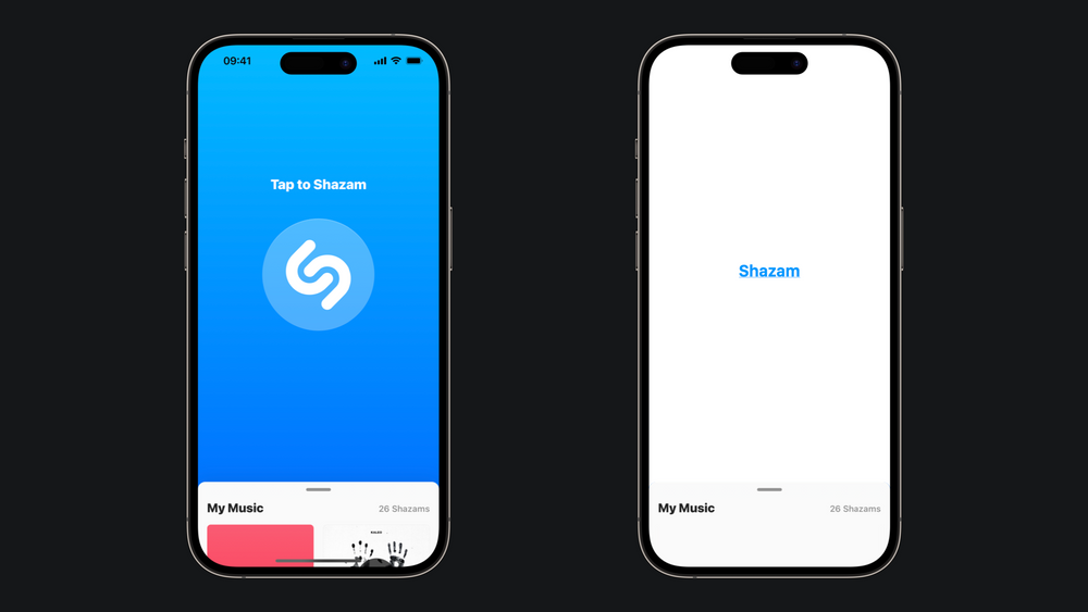 Understanding the Accessible User Interface